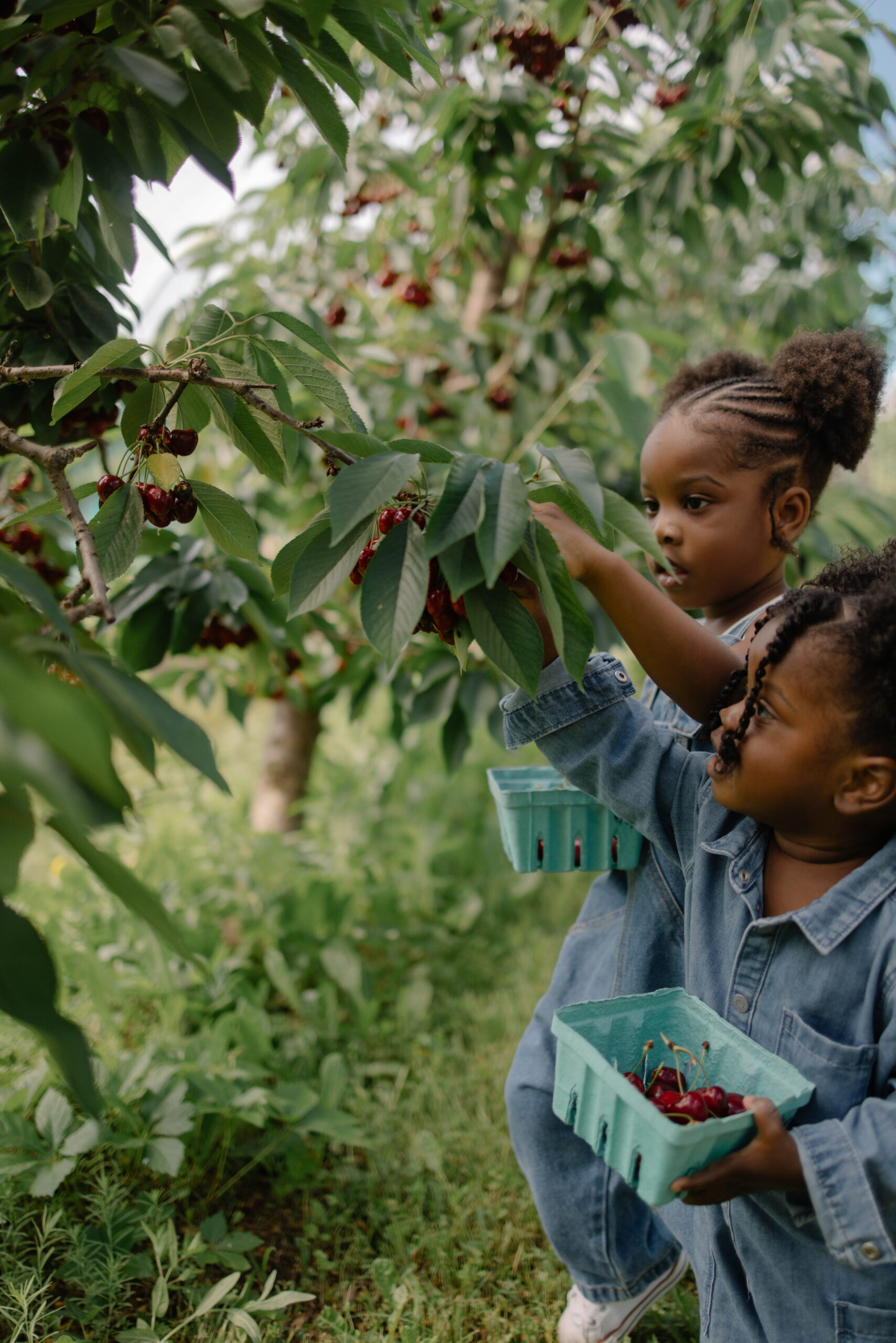 Mommy and Me: Strawberry + Cherry Picking – Miss Enocha