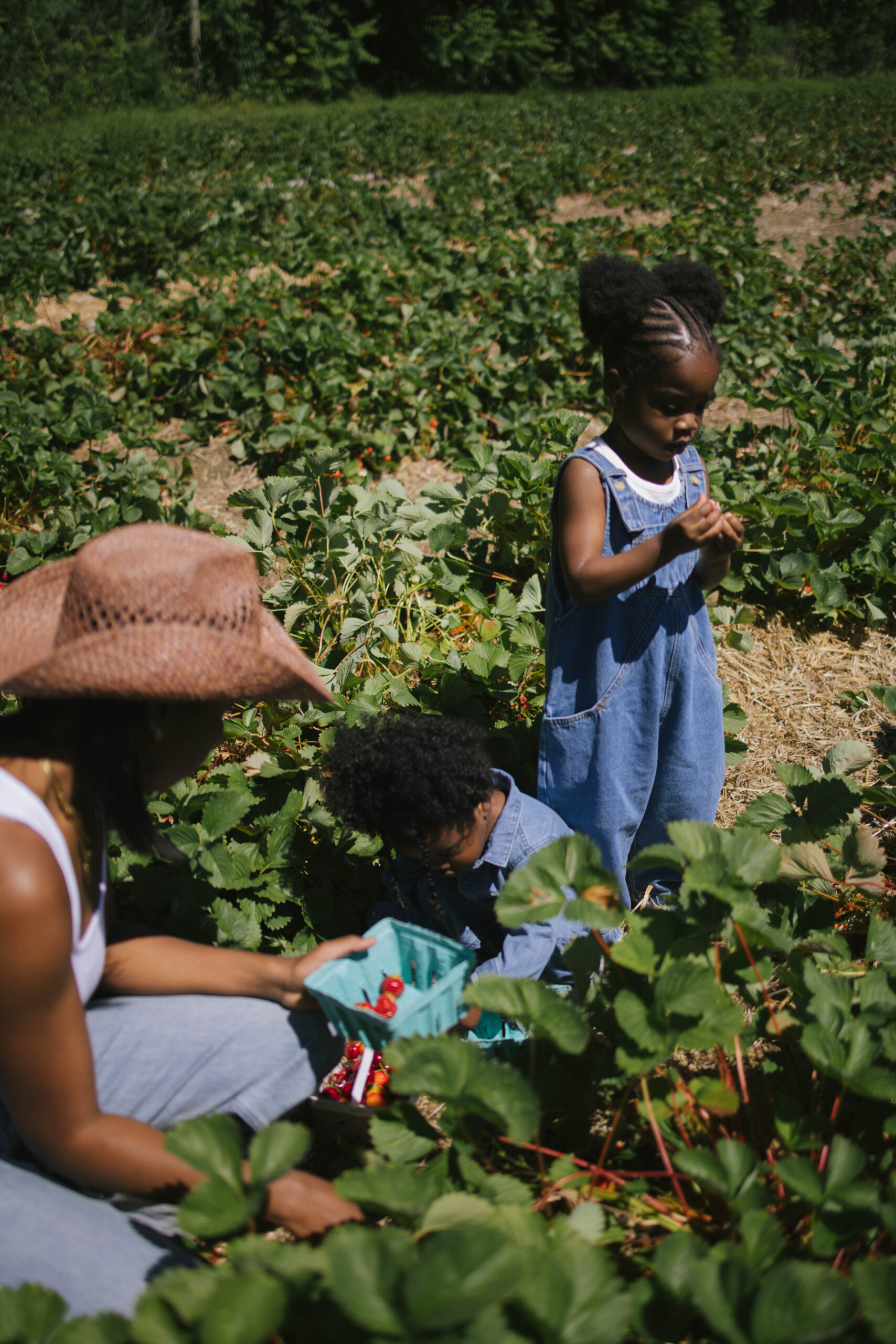 Mommy and Me: Strawberry + Cherry Picking – Miss Enocha