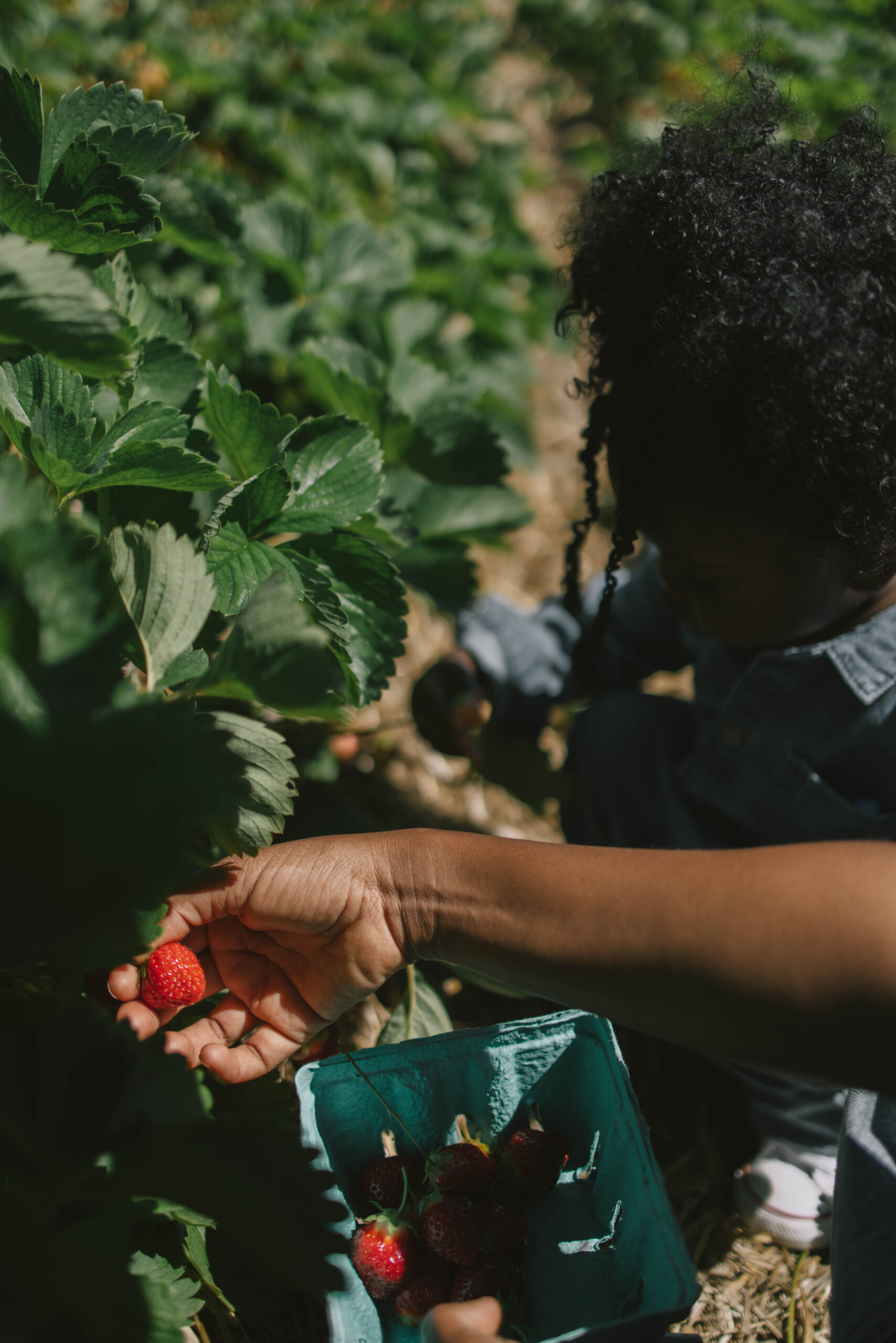 Mommy and Me: Strawberry + Cherry Picking – Miss Enocha